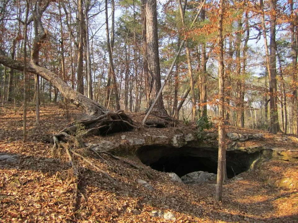 Hinson Conservation & Recreation Area | Jackson County TDC